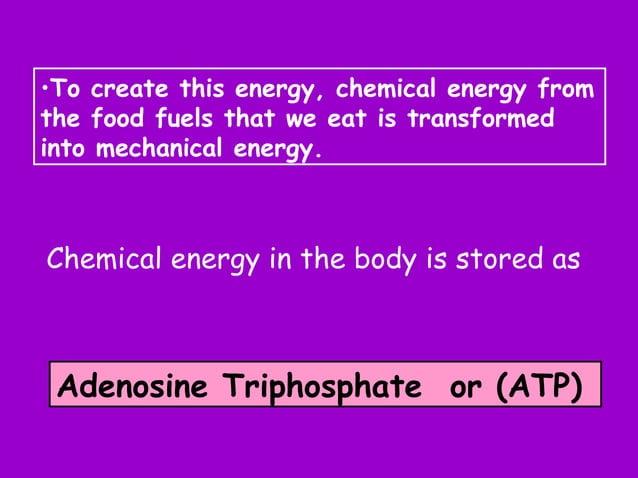 Atp-pc system | PPT | Chemistry | Science
