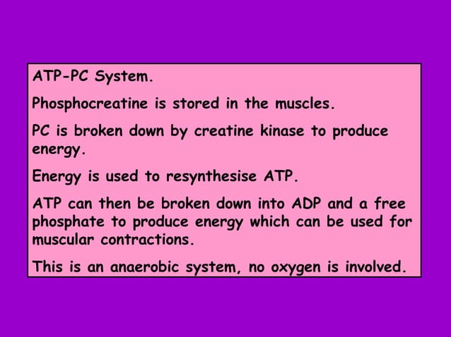 Atp-pc system | PPT | Chemistry | Science