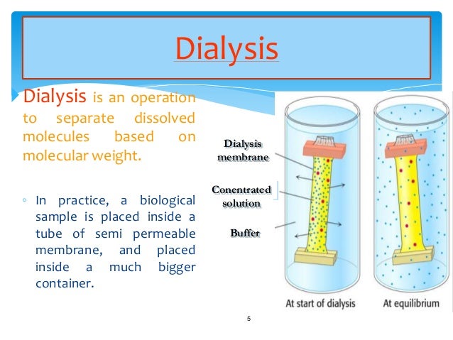 dialysis, ultrafiltration and lyophilization