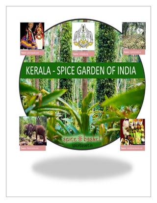 Regional Development of Kerala | PDF