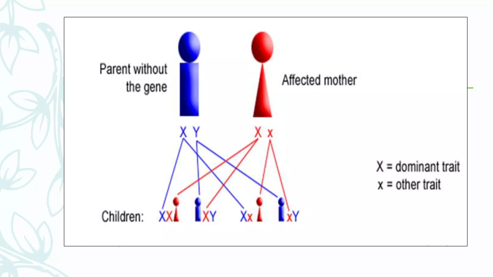 Genetic and chromosomal aberrations in children | PPTX