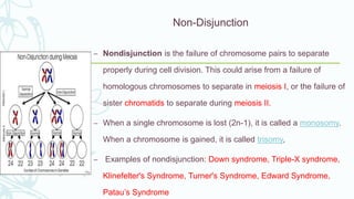 Genetic and chromosomal aberrations in children | PPTX