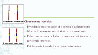 Genetic and chromosomal aberrations in children | PPTX