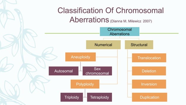 Genetic and chromosomal aberrations in children | PPTX | Reproductive ...