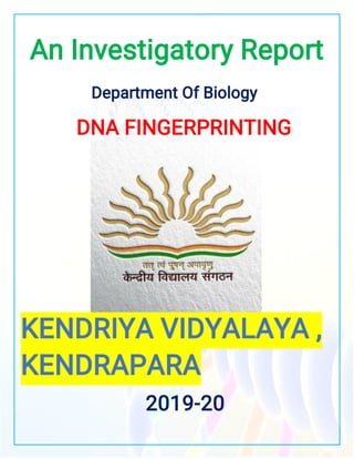 New 352180832 dna-fingerprint-investigatory-project-class-12 | PDF