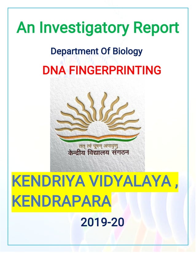 New 352180832 dna-fingerprint-investigatory-project-class-12 | PDF ...