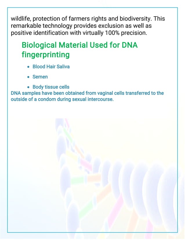 New 352180832 dna-fingerprint-investigatory-project-class-12 | PDF ...