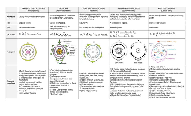 New added families for class 12 cbse ncert neet | PDF
