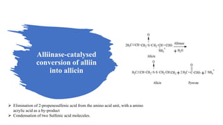 Alliinase importance and estimation method.pptx