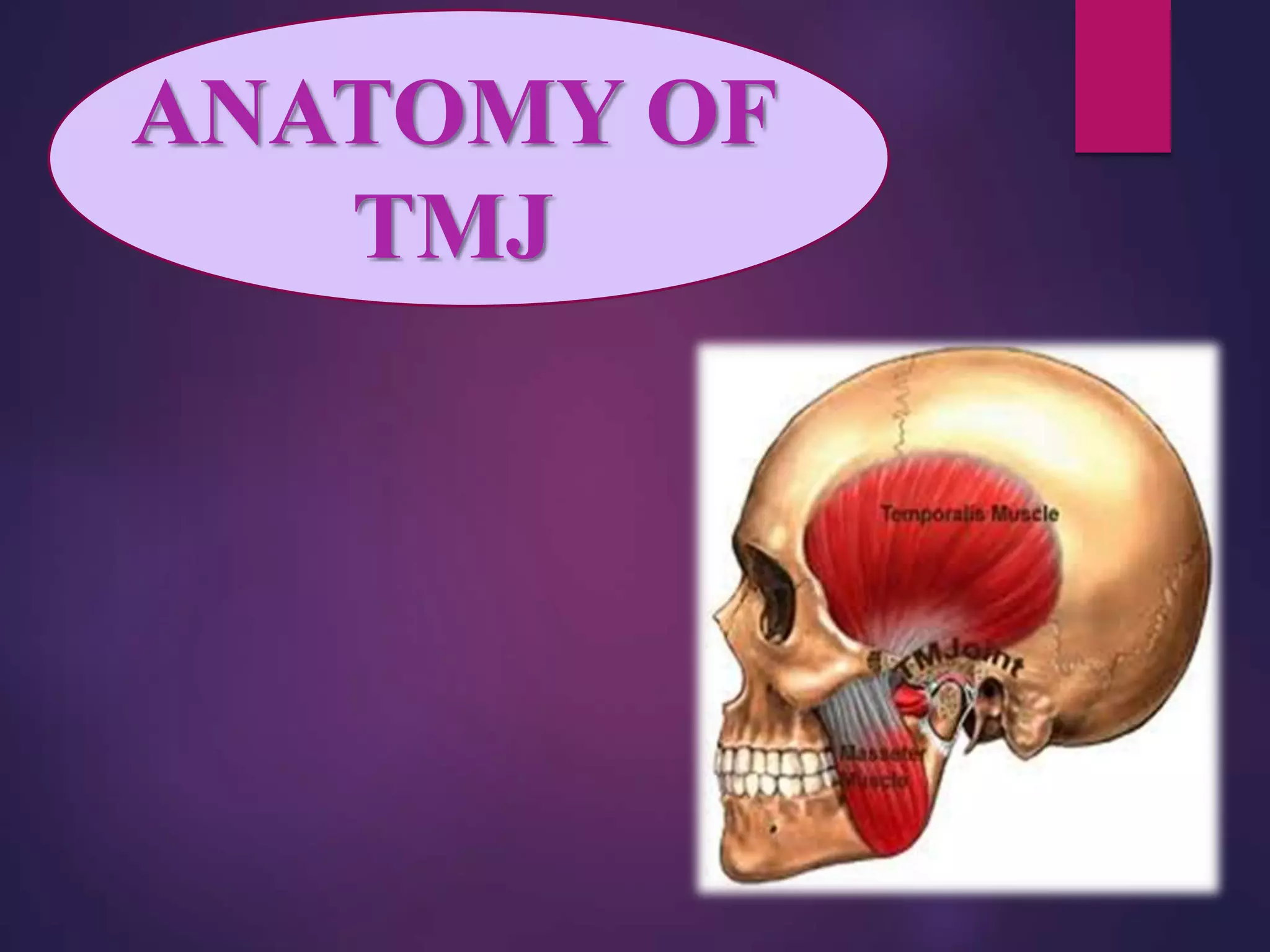 DR SHAKIR New anatomy of tmj | PPT