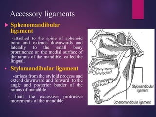 DR SHAKIR New anatomy of tmj | PPTX