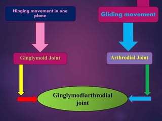 DR SHAKIR New anatomy of tmj | PPTX