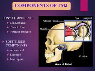 DR SHAKIR New anatomy of tmj | PPTX
