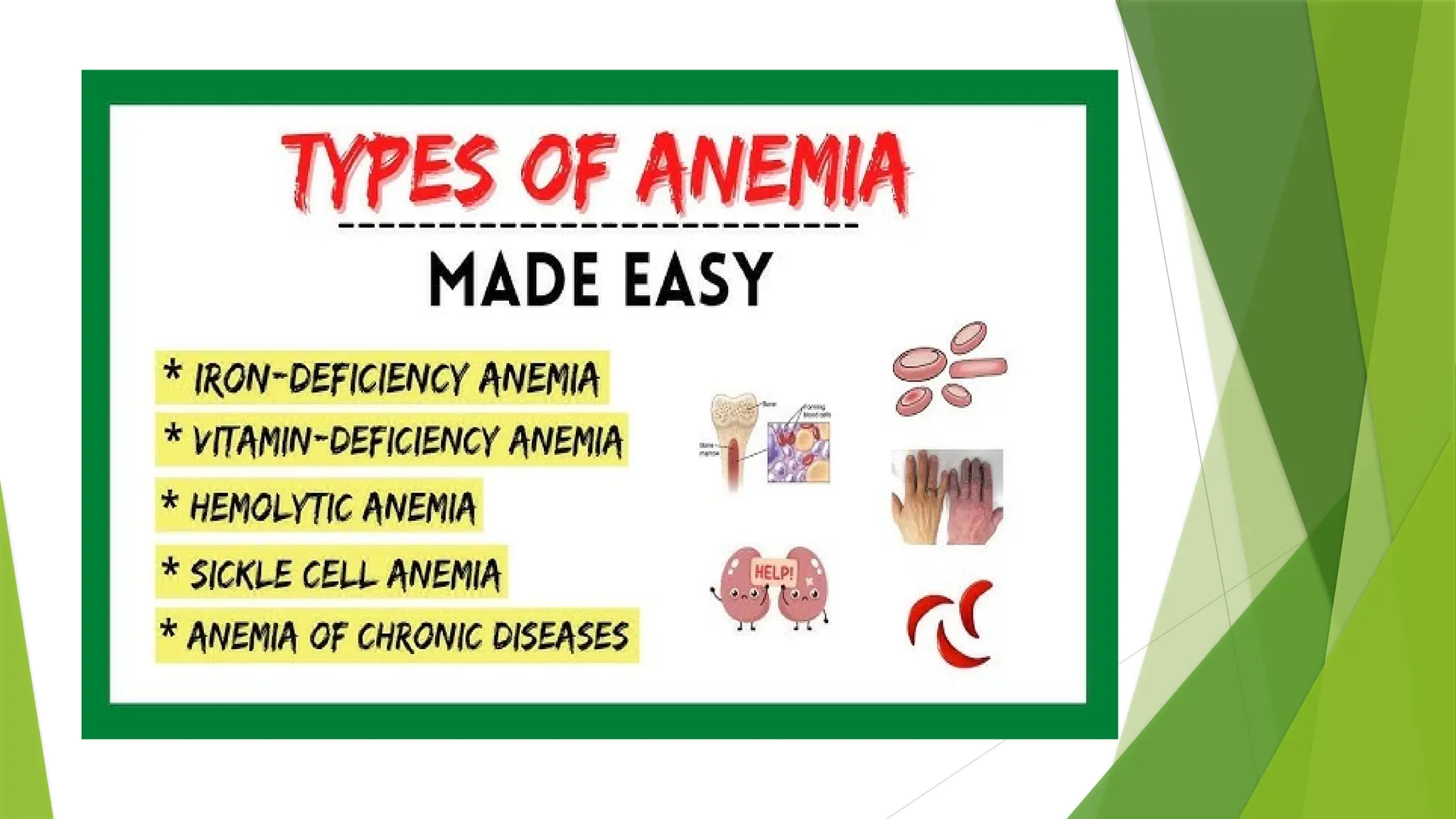 Ppt on anemia, its causes, its symptoms, basic diet | PPT