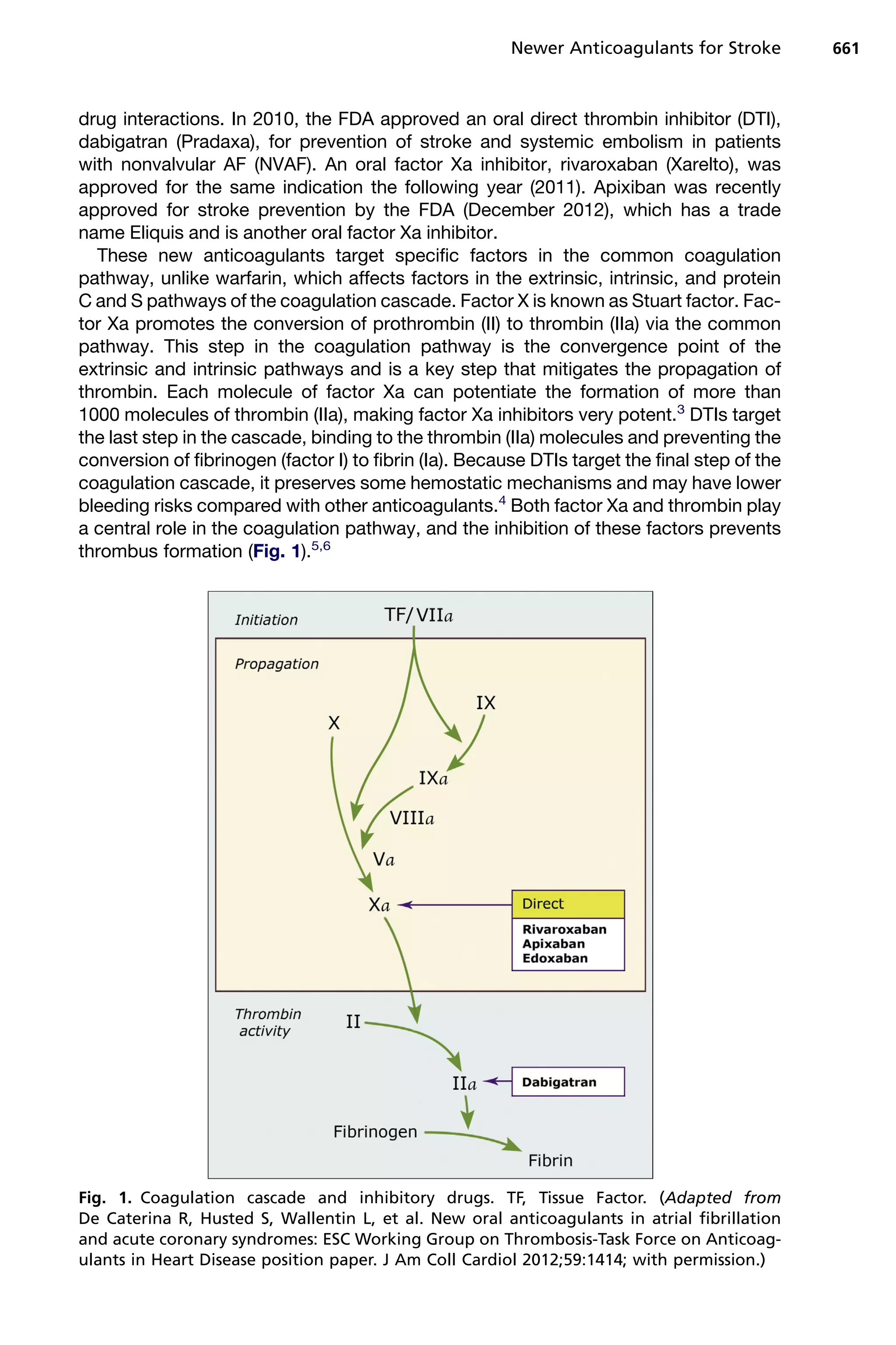 New anticoagulants (dabigatran, apixaban, rivaroxaban) for stroke ...