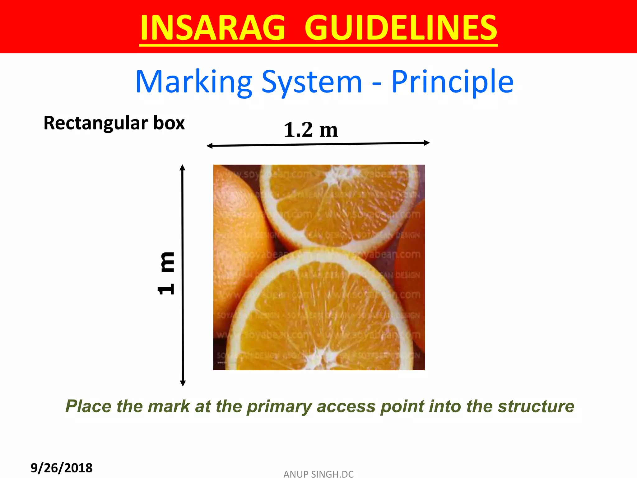 INSARAG MARKING | PPTX