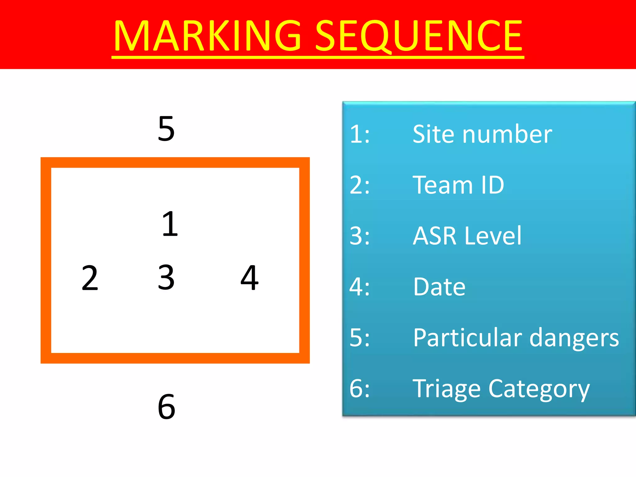 INSARAG MARKING | PPTX
