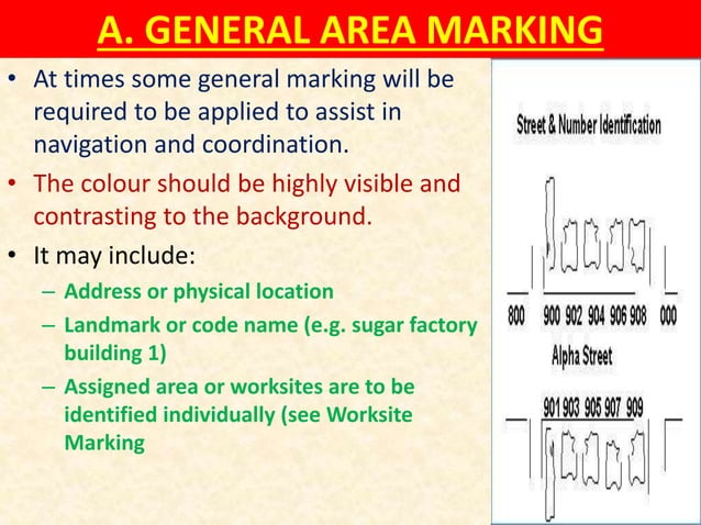 INSARAG MARKING | PPTX