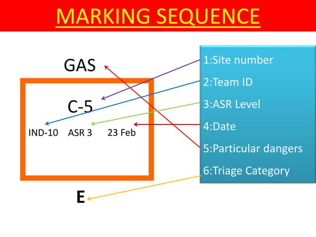 INSARAG MARKING | PPTX