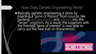 New applications of genetic engineering | PPT