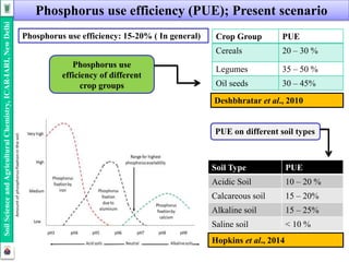 New Approaches for Enhancing Phosphorus Use Efficiency (PUE).pdf