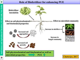 New Approaches for Enhancing Phosphorus Use Efficiency (PUE).pdf