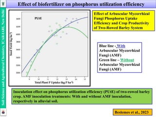 New Approaches for Enhancing Phosphorus Use Efficiency (PUE).pdf