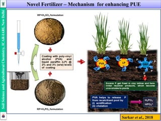 New Approaches for Enhancing Phosphorus Use Efficiency (PUE).pdf