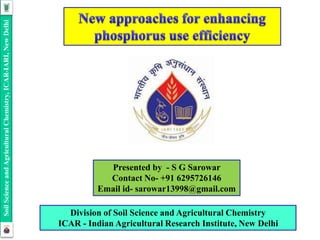 New Approaches for Enhancing Phosphorus Use Efficiency (PUE).pdf