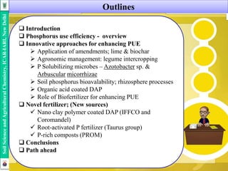 New Approaches for Enhancing Phosphorus Use Efficiency (PUE).pdf