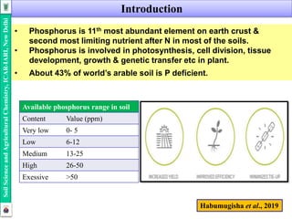 New Approaches for Enhancing Phosphorus Use Efficiency (PUE).pdf