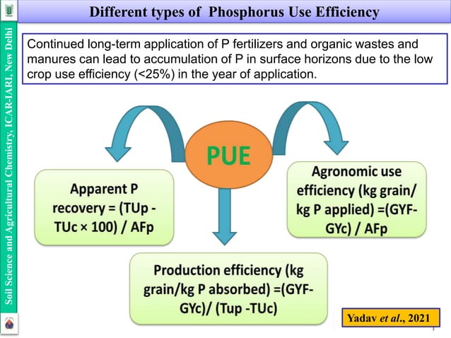 New Approaches for Enhancing Phosphorus Use Efficiency (PUE).pdf