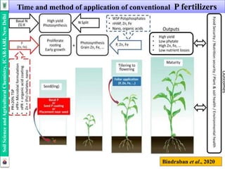 New Approaches for Enhancing Phosphorus Use Efficiency (PUE).pdf