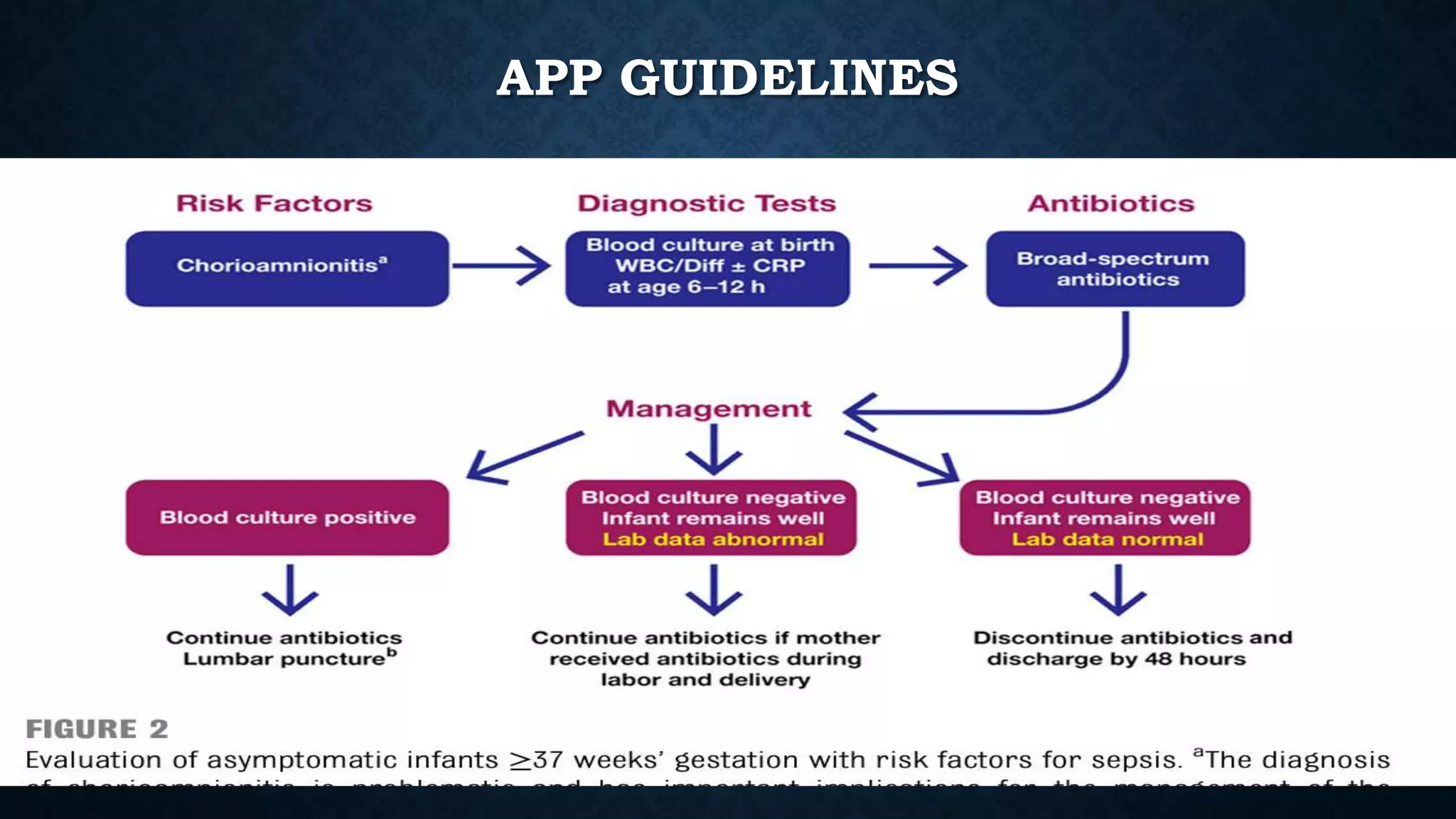 newborn sepsis evaluation | PPT