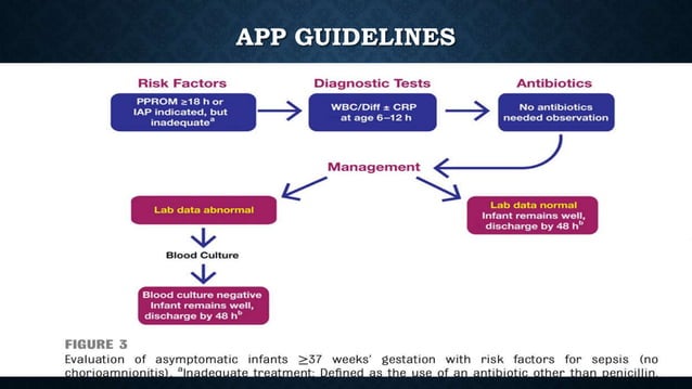 newborn sepsis evaluation | PPT