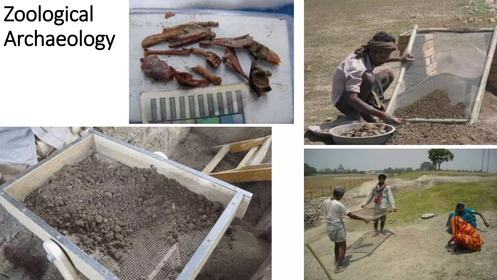 New Archaeology/Processual Archaeology | PPTX