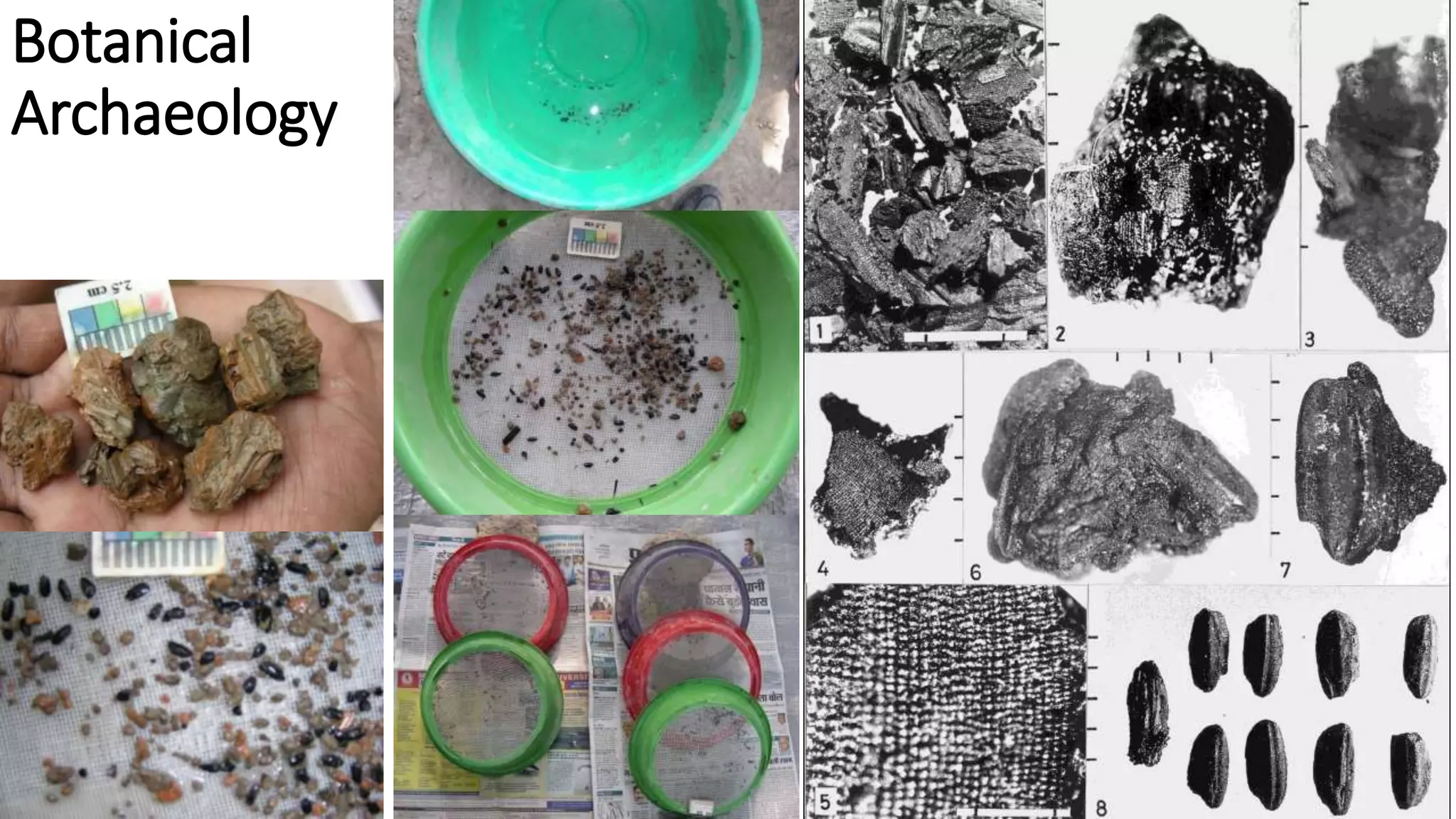 New Archaeology/Processual Archaeology | PPTX