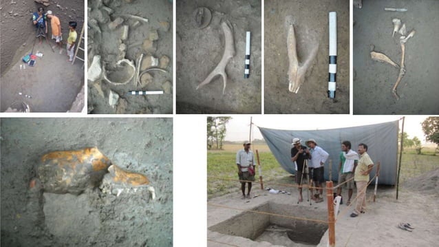 New Archaeology/Processual Archaeology | PPTX