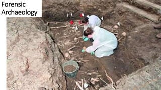 New Archaeology/Processual Archaeology | PPTX