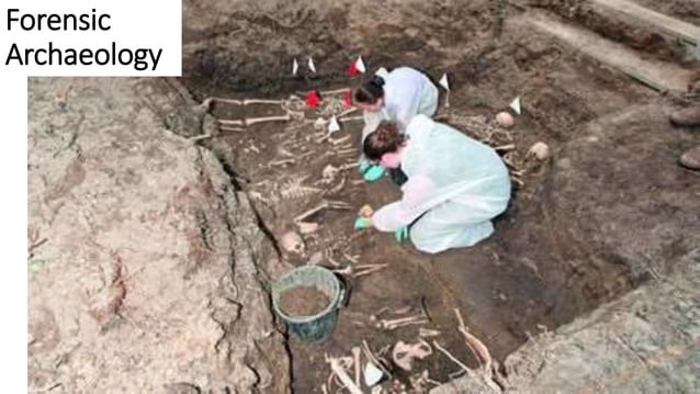 New Archaeology/Processual Archaeology | PPTX
