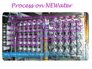 Newater | PPTX