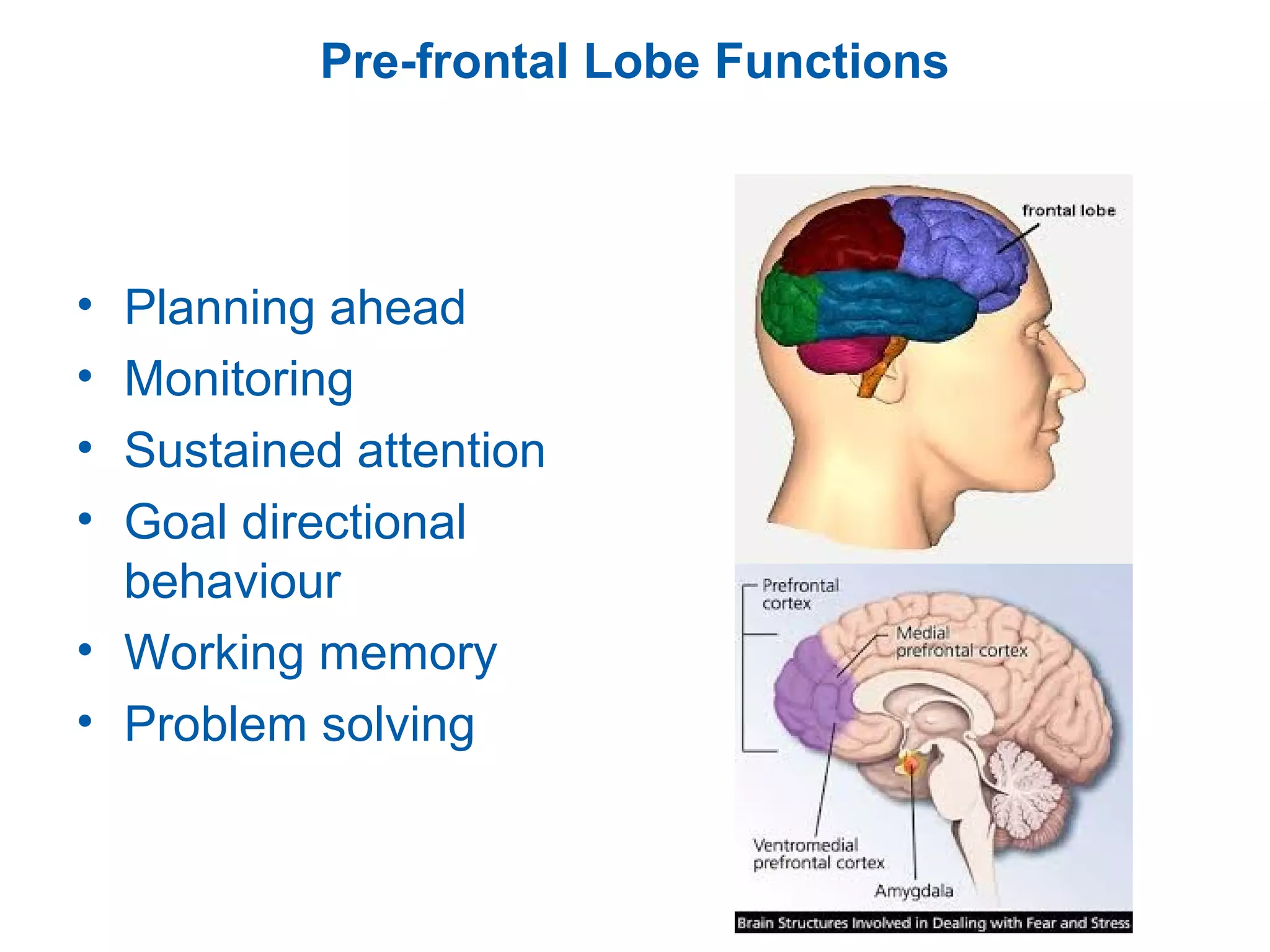 Session 1 Presentation: Attachment, Emotional Well-being and the ...