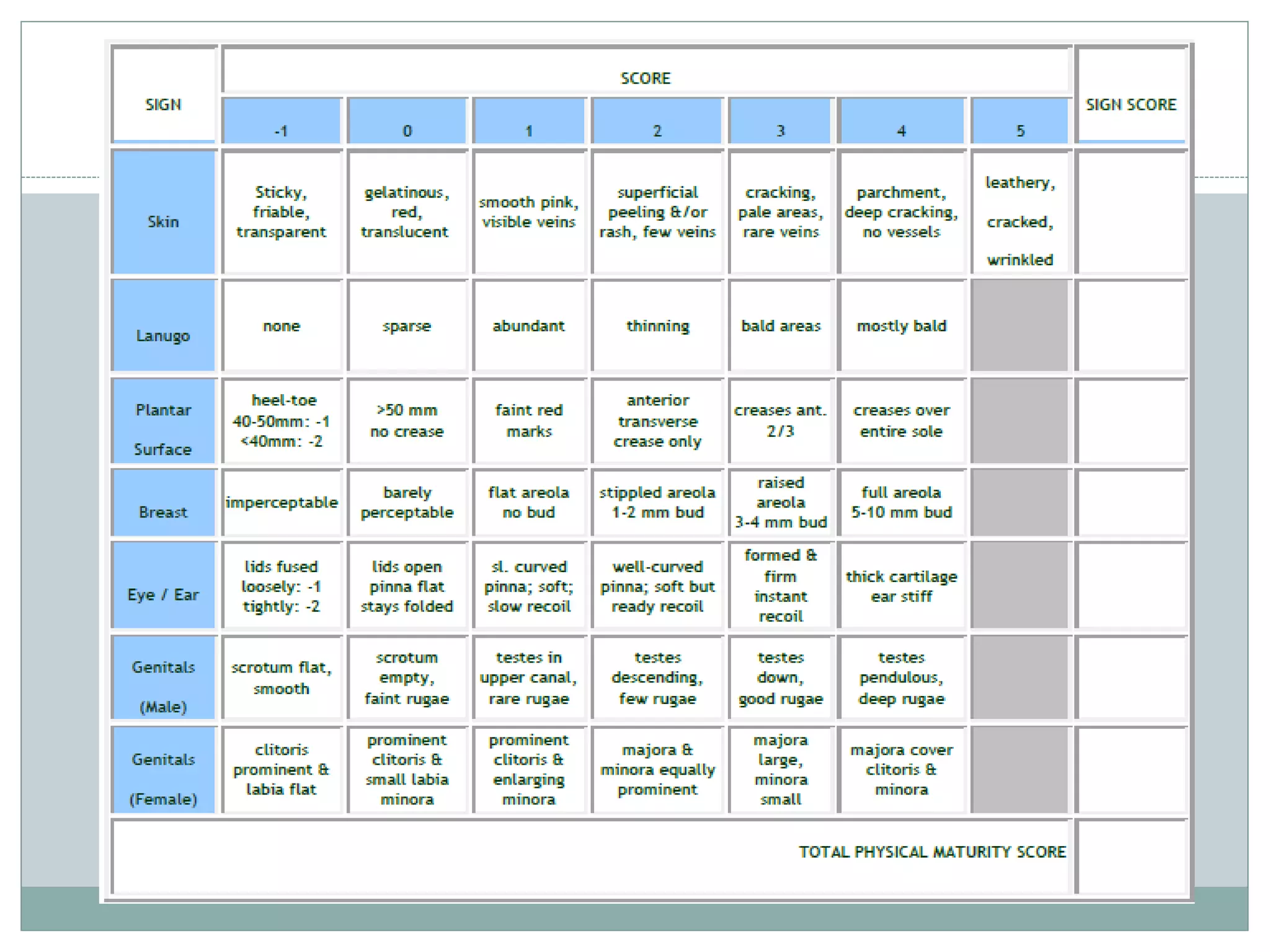New ballard score | PPTX