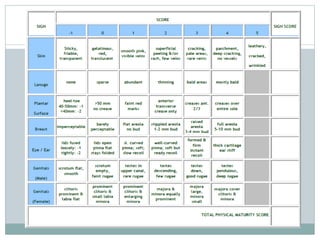 New ballard score | PPTX