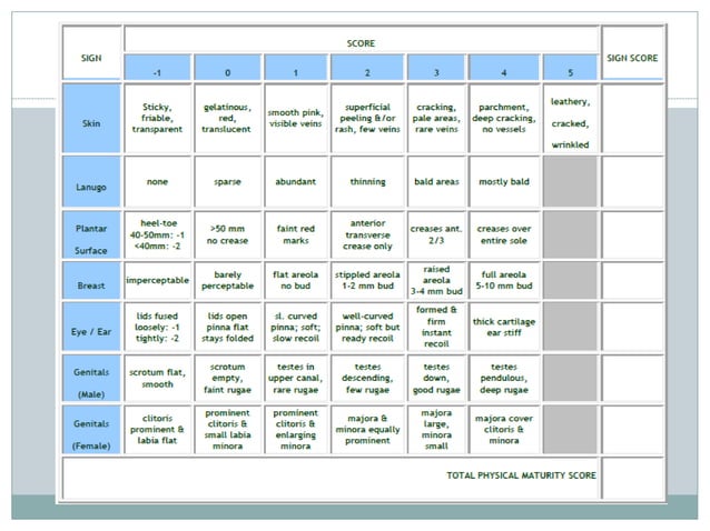 New ballard score | PPTX