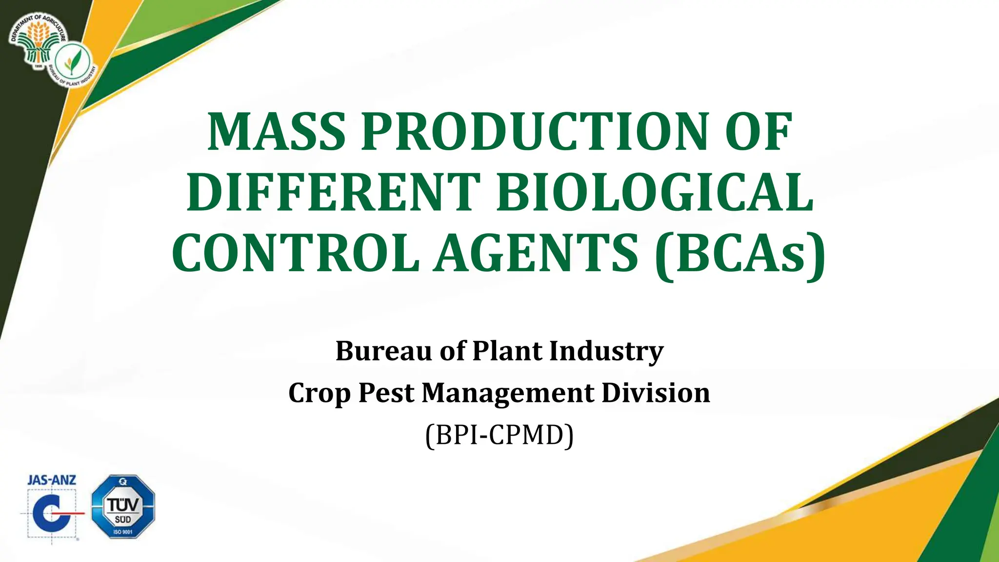 New BCAs 2023 (1).pptx