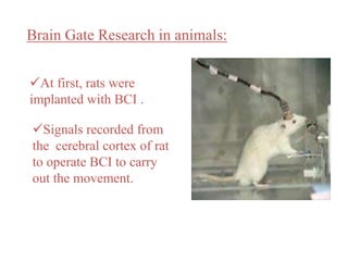 BRAIN GATE | PPTX