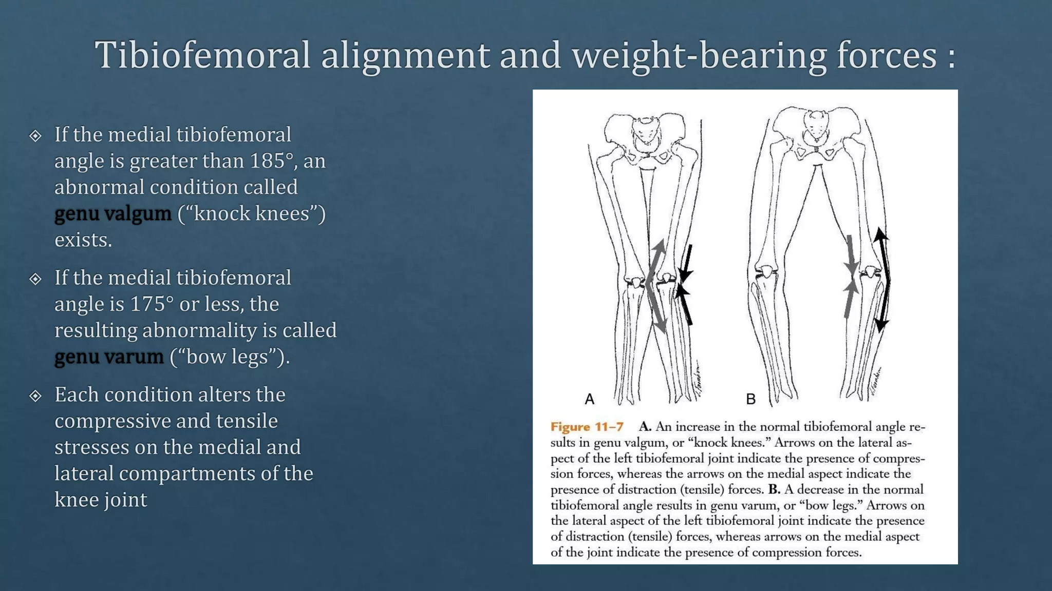 Biomechanics of knee joint | PPTX