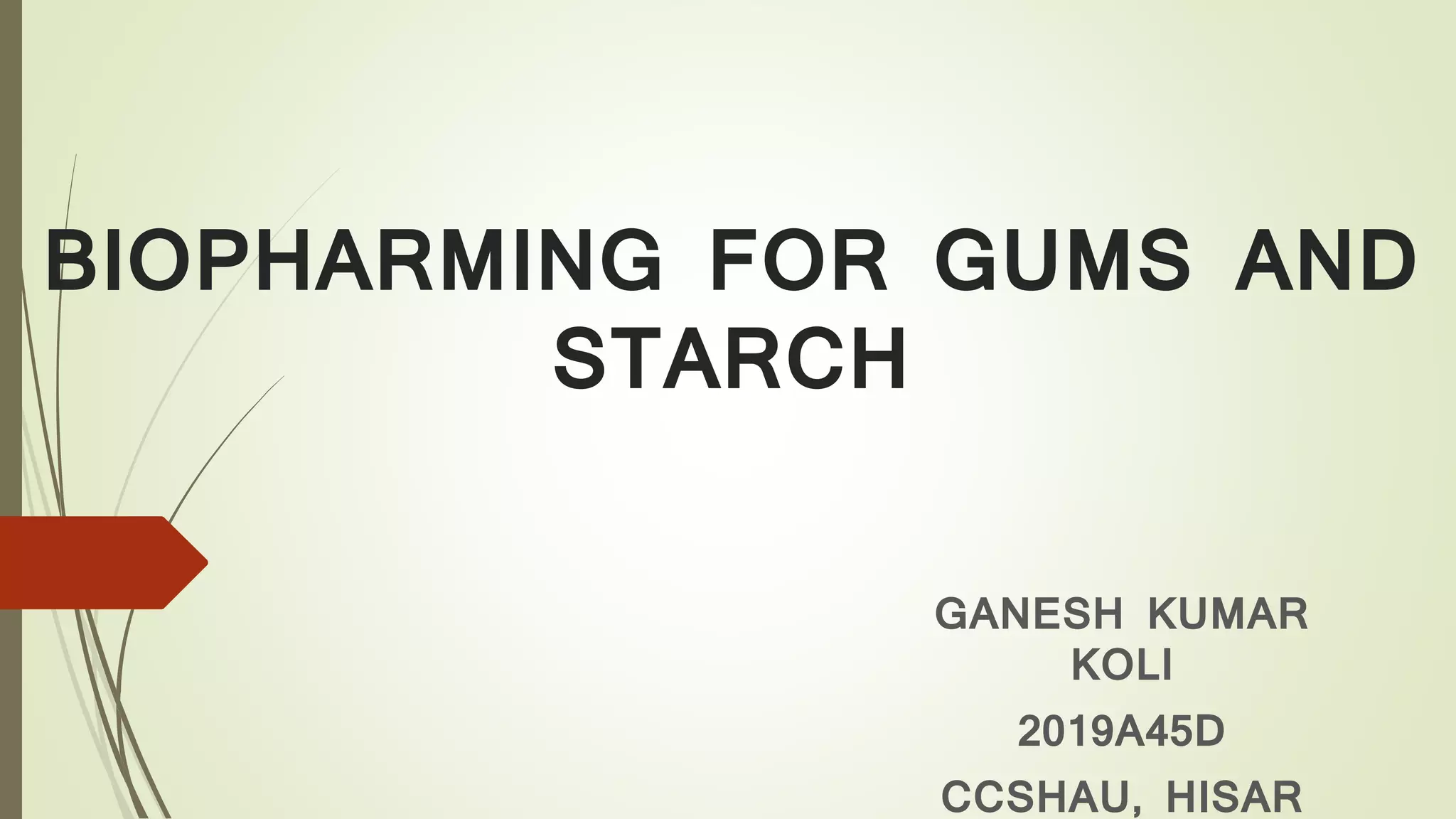 biopharming for gums and starch | PPTX