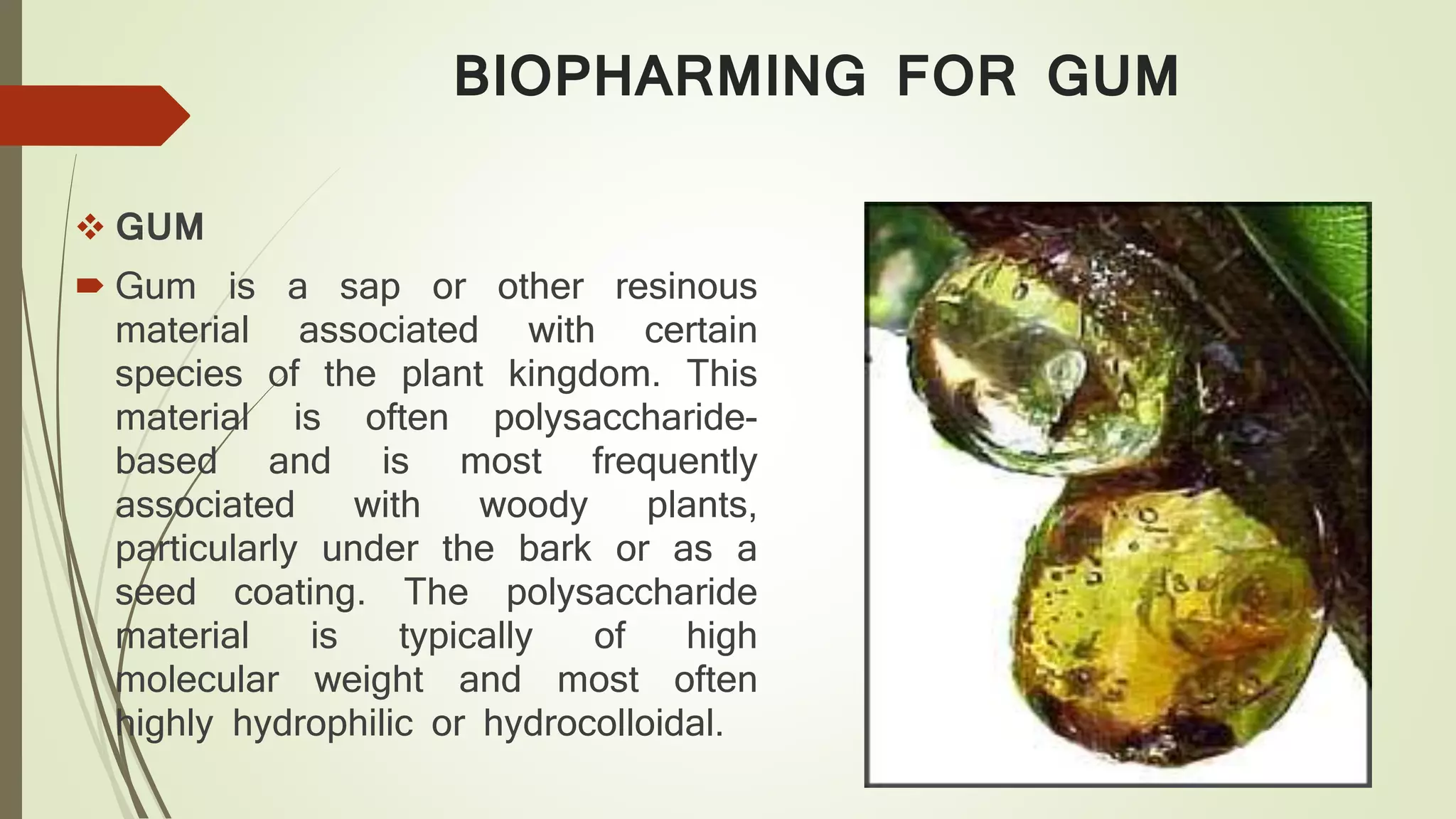 biopharming for gums and starch | PPTX